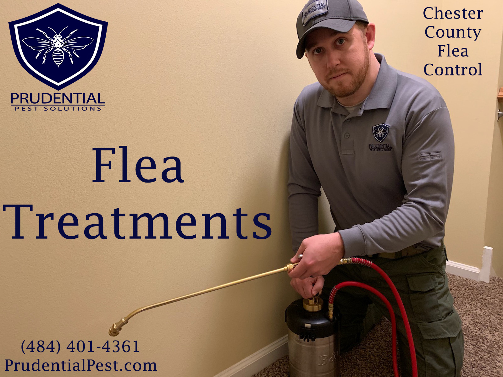 Flea Treatment Chester County - Prudential Pest Solutions