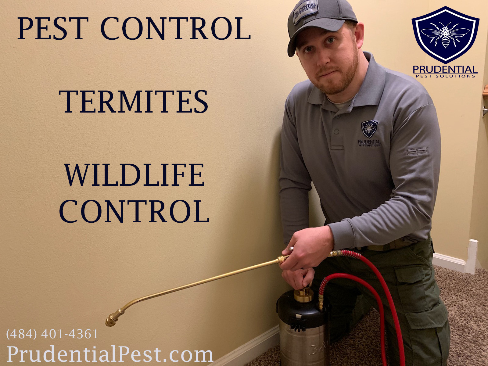 Bee Control Chester County - Prudential Pest Solutions