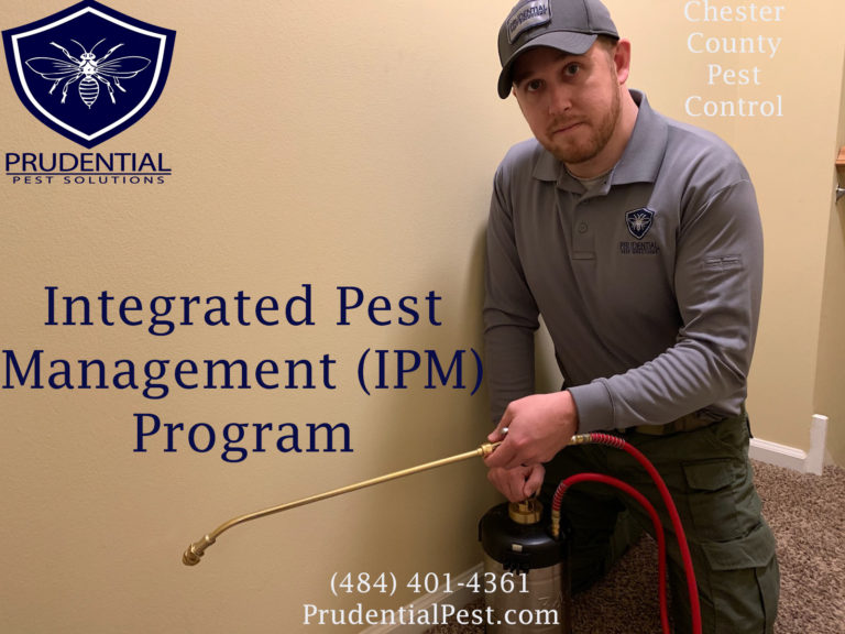 Integrated Pest Management Program - Prudential Pest Solutions