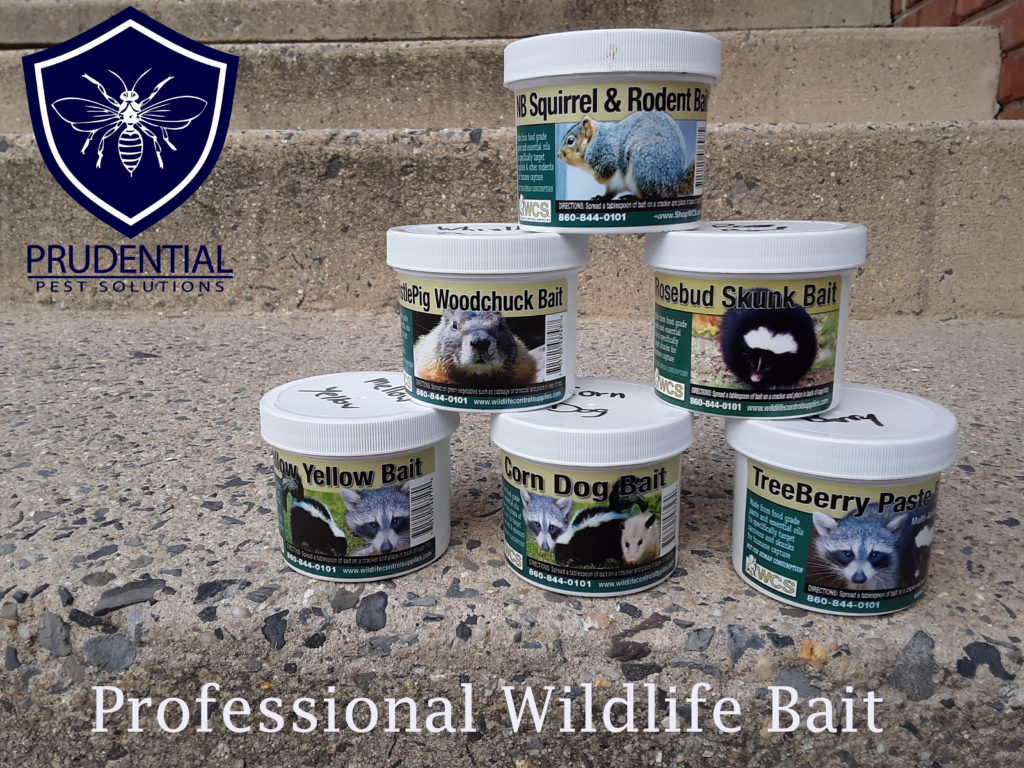 Trapping - Prudential Pest Solutions