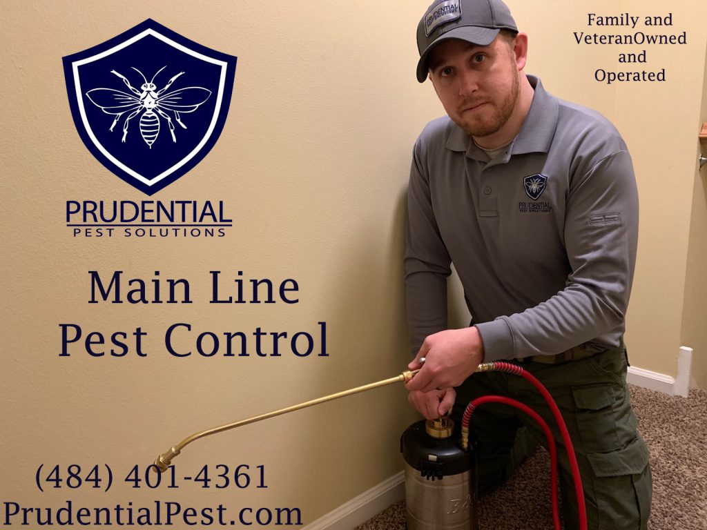 Main Line Pest Control and Exterminator Services - Prudential Pest Solutions