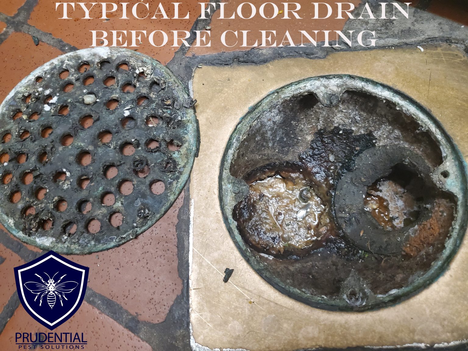 Commercial Drain Foaming Service - Prudential Pest Solutions