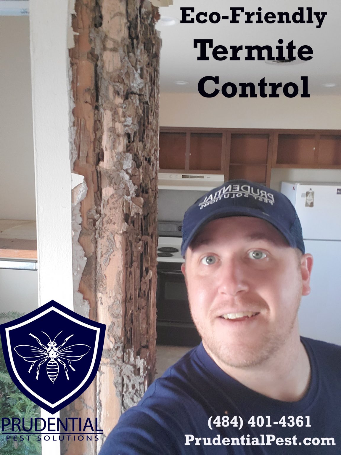 Eco Friendly Termite Treatments - Prudential Pest Solutions