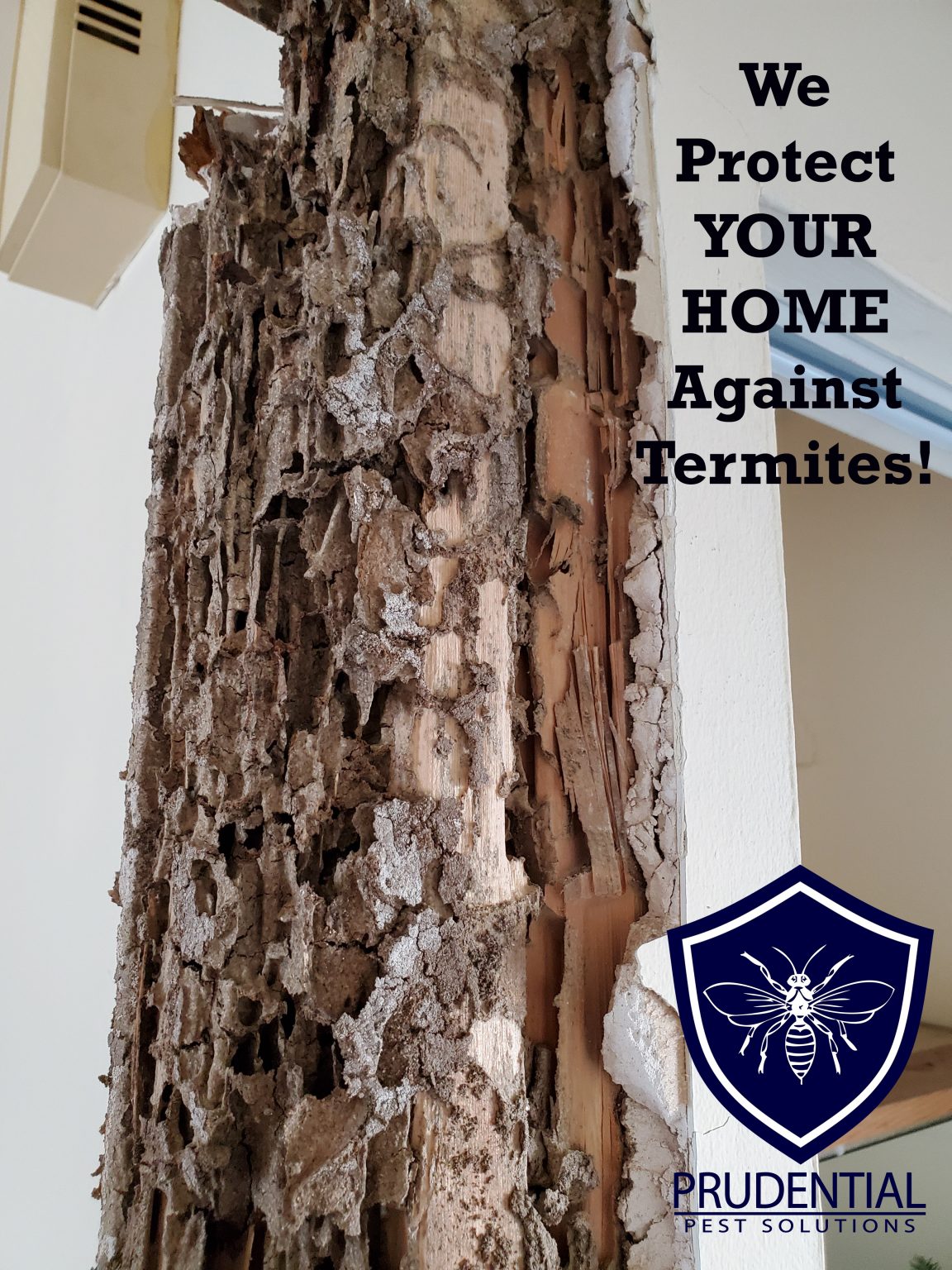 Affordable Termite Treatments - Prudential Pest Solutions
