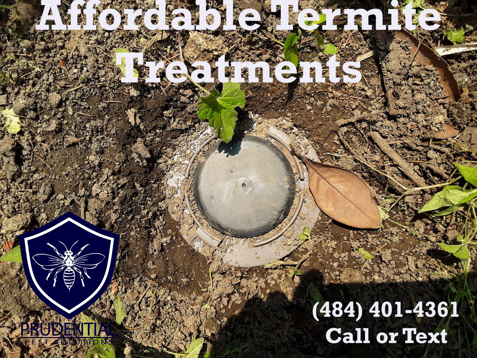 Eco Friendly Termite Treatments - Prudential Pest Solutions