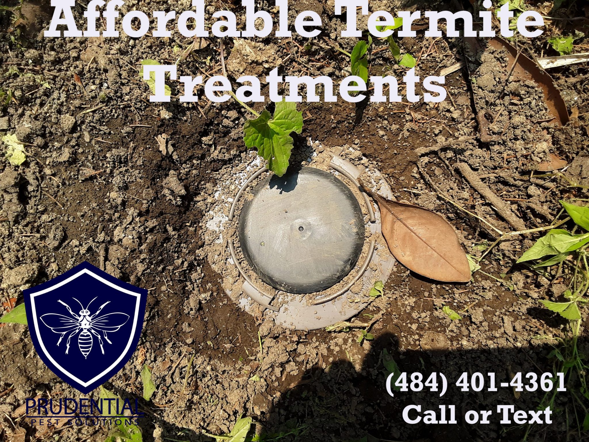 Eco Friendly Termite Treatments - Prudential Pest Solutions