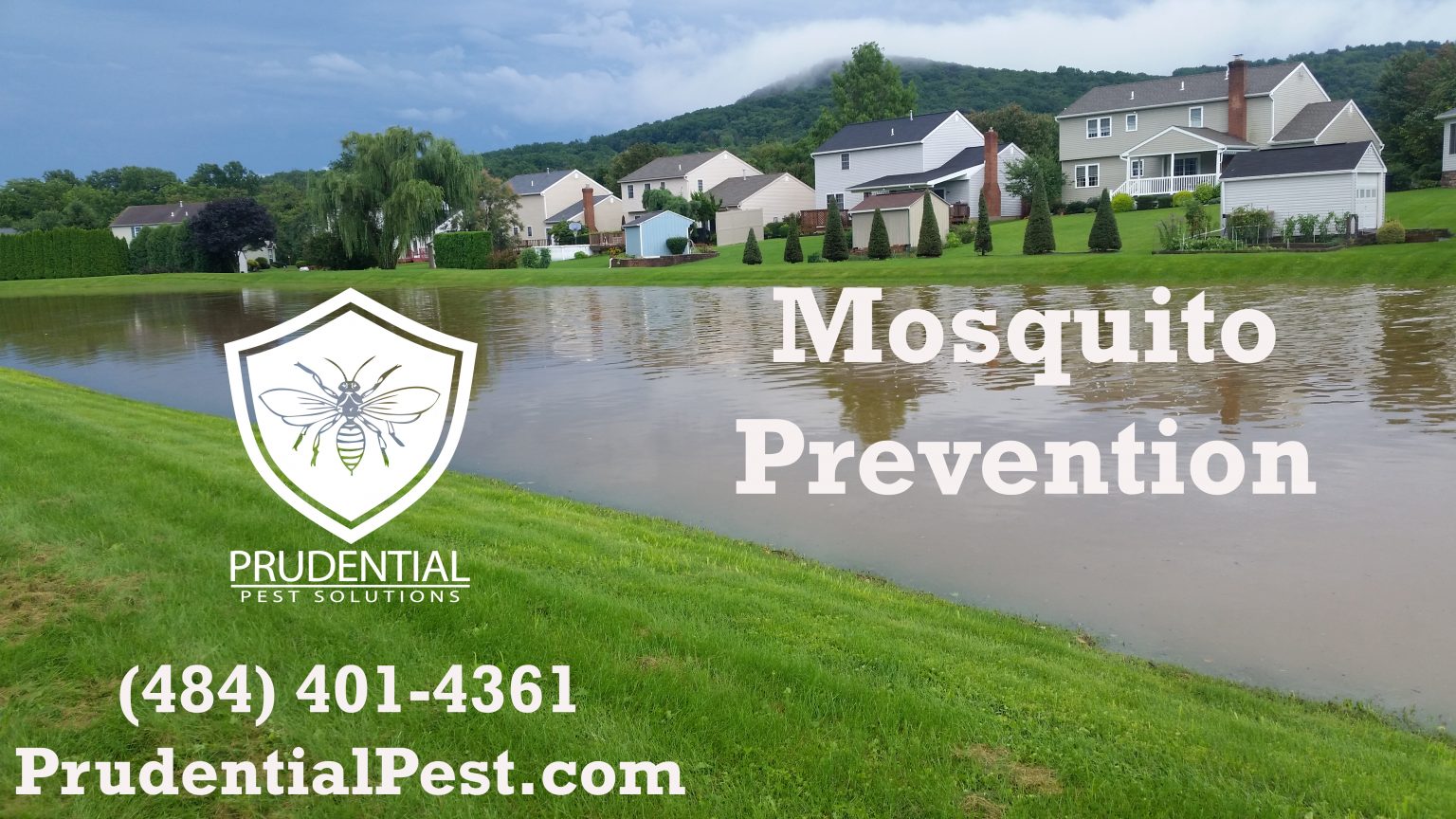 Mosquito Treatments and Prevention Services - Prudential Pest Solutions