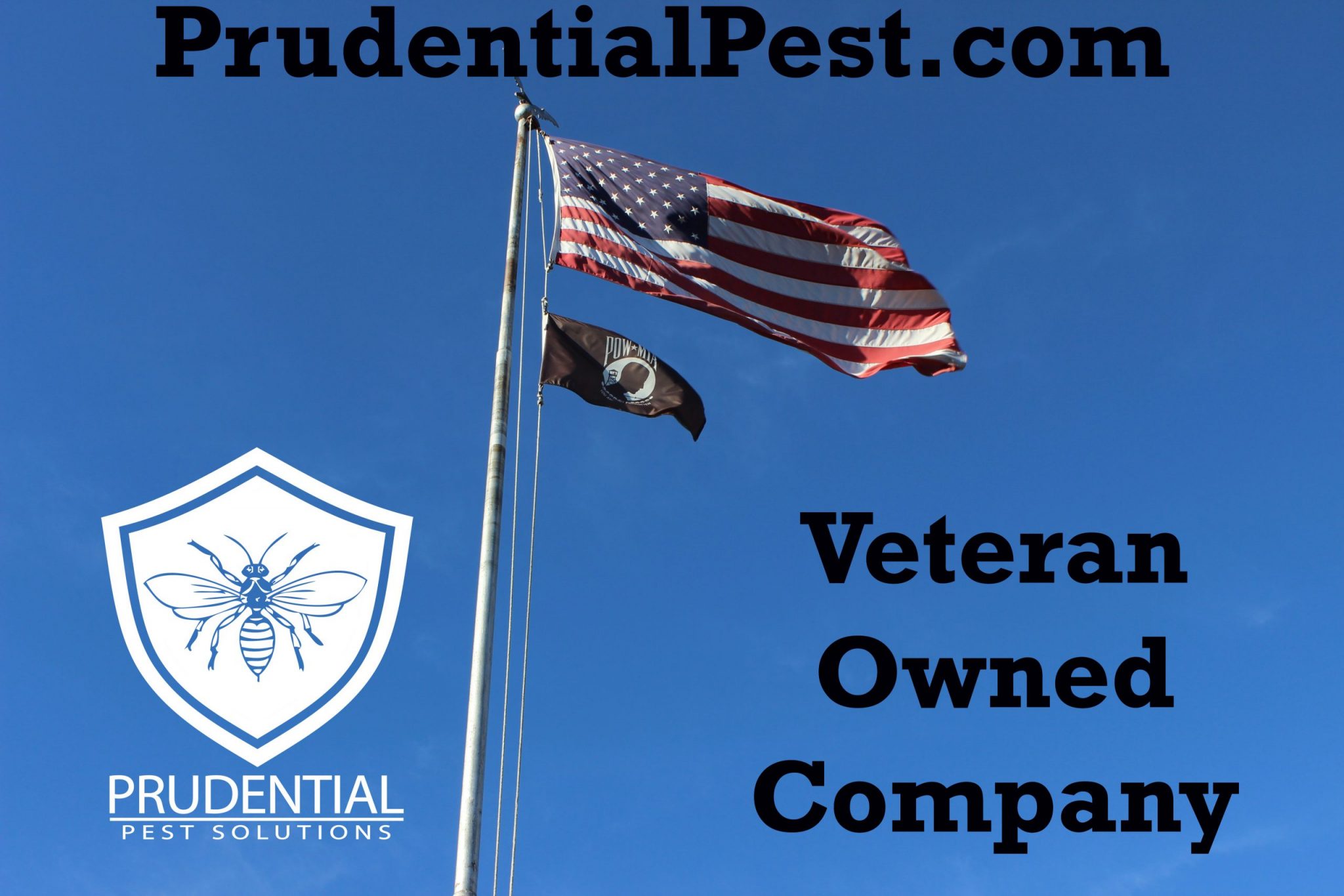 Reading Pest Exterminators - Prudential Pest Solutions