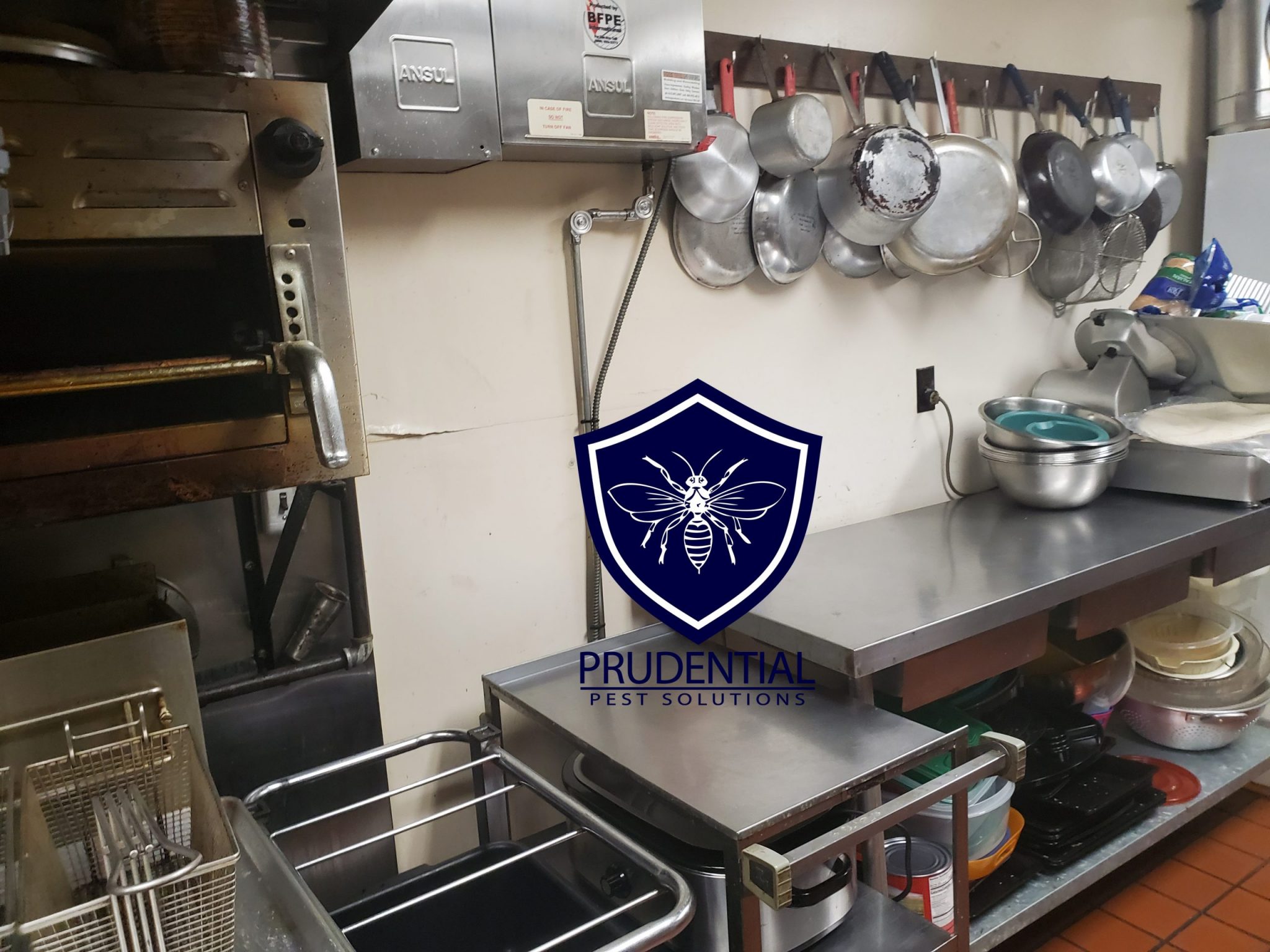 Commercial Kitchen Pest Control - Prudential Pest Solutions