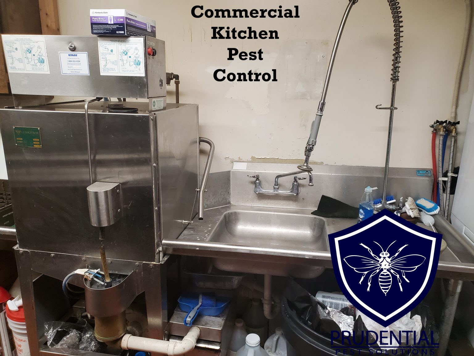 Commercial Drain Foaming Service - Prudential Pest Solutions