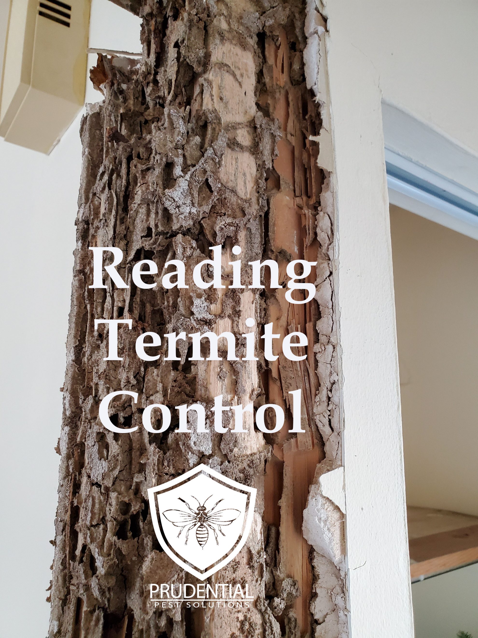 Reading Termite Exterminator - Prudential Pest Solutions
