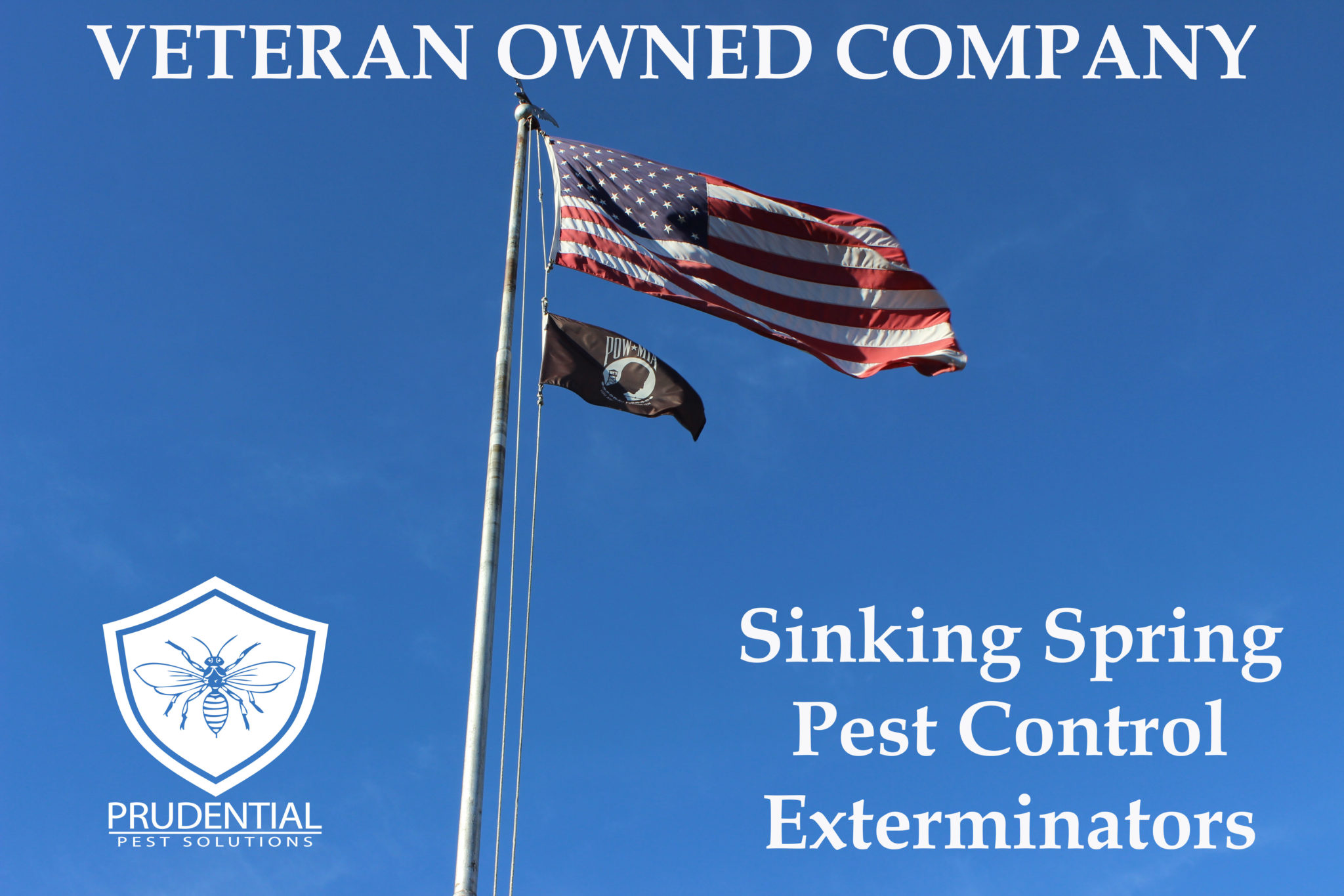 Sinking Spring Pest Control - Prudential Pest Solutions