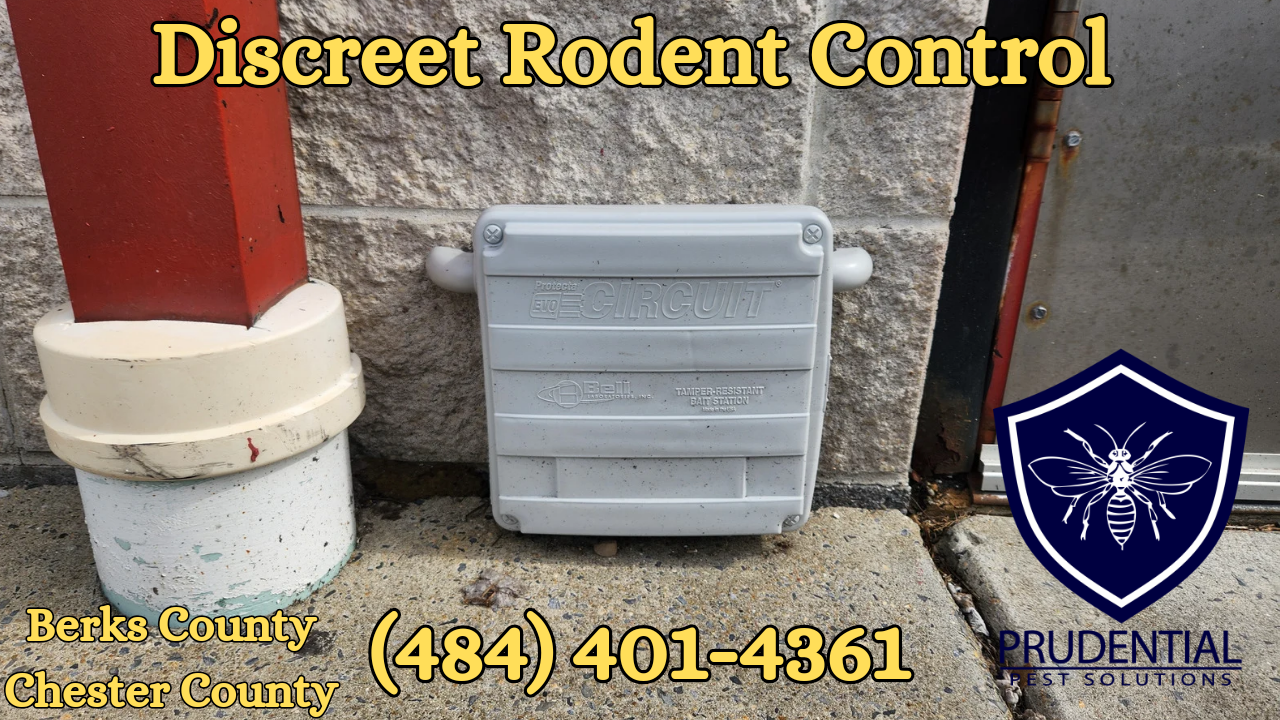 Invisible Rodent Treatments - Prudential Pest Solutions